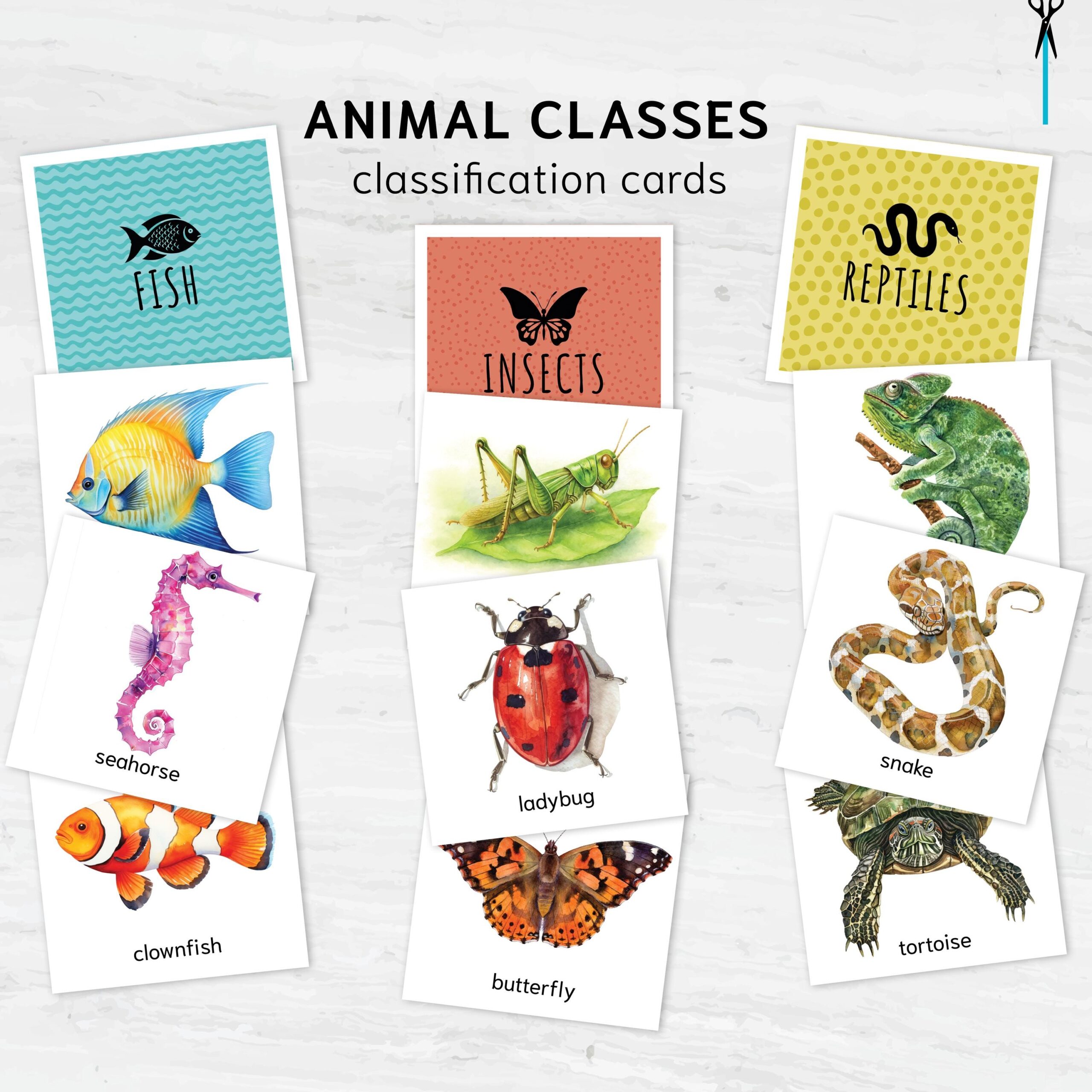 Animal Classification Sorting Cards. Printable Montessori Science Study ...