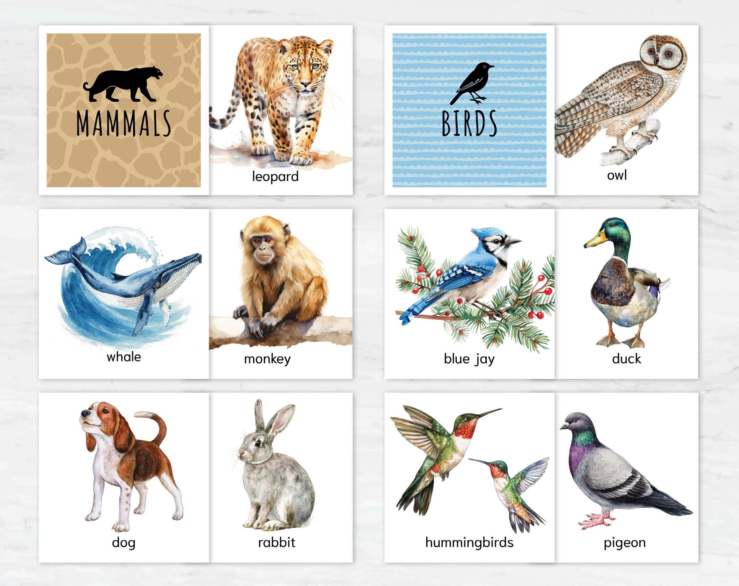 Animal Classification Sorting Cards. Printable Montessori Science Study ...