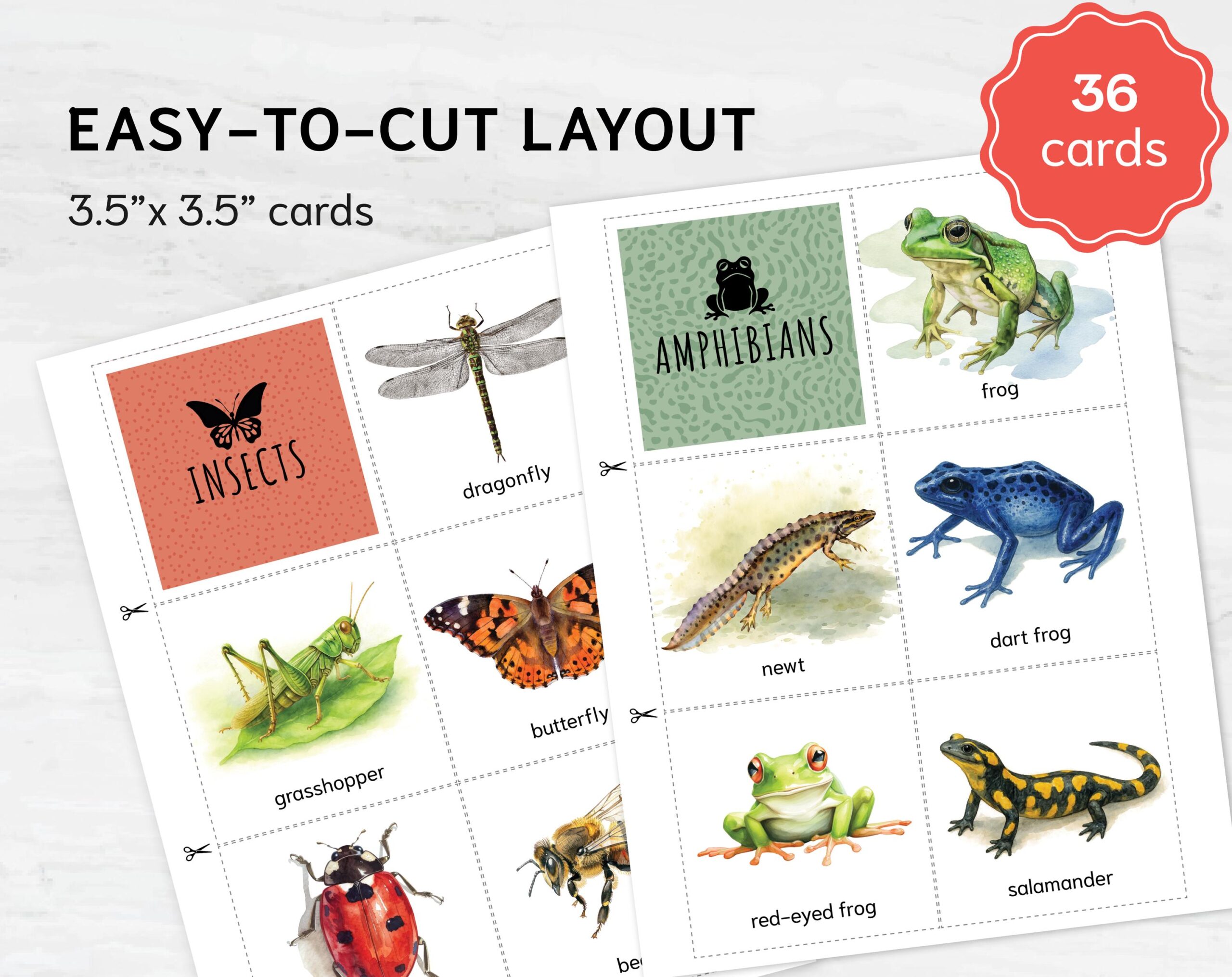 Animal Classification Sorting Cards. Printable Montessori Science Study ...