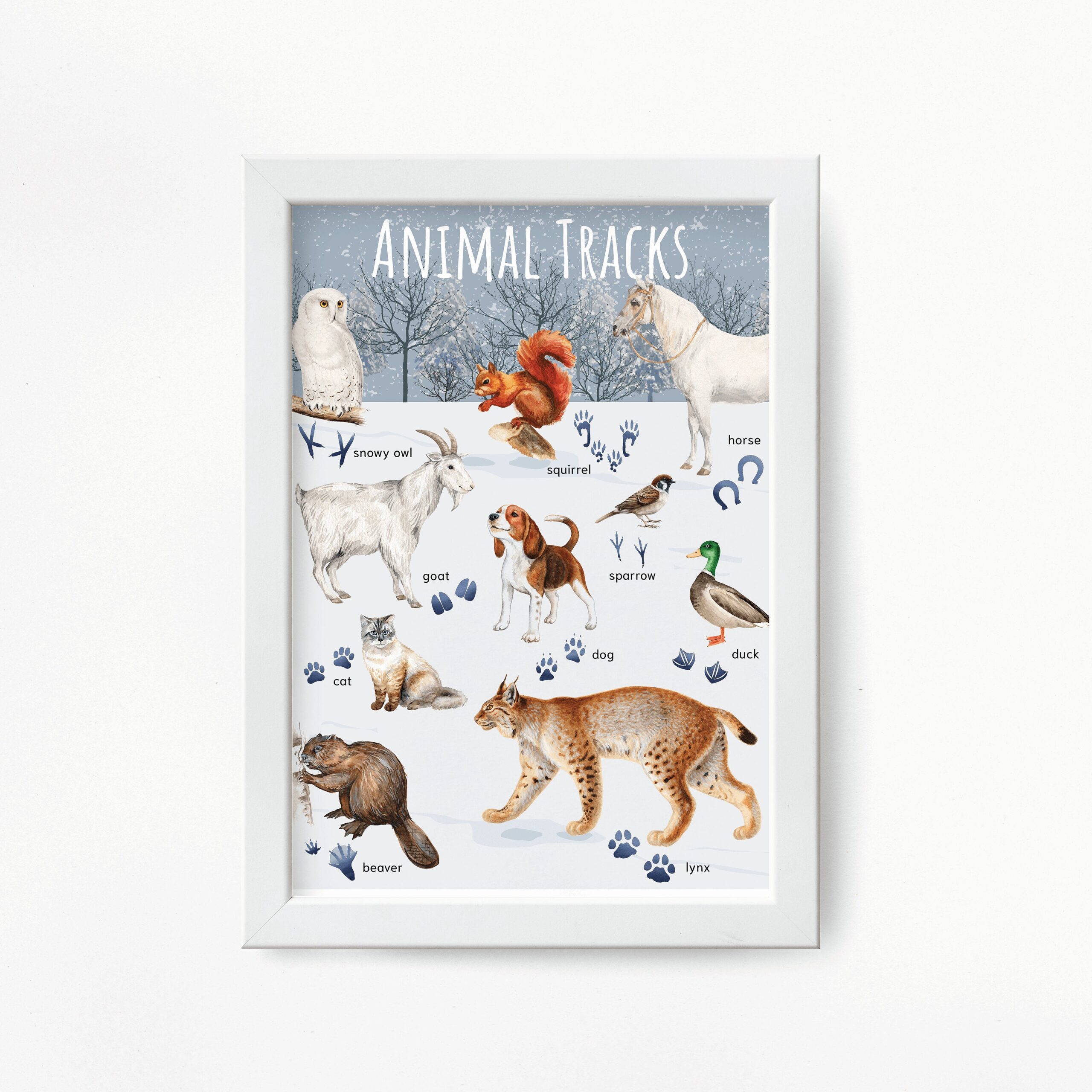 Animals of Africa Educational Poster – Watercolor Wildlife Map ...