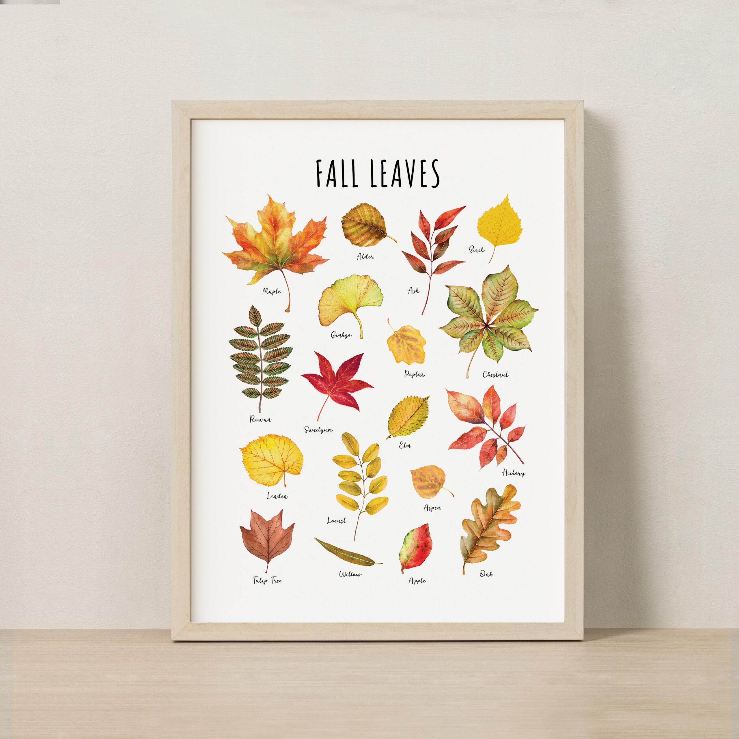 Fall Leaves Identification Cards printable. Montessori Educational ...