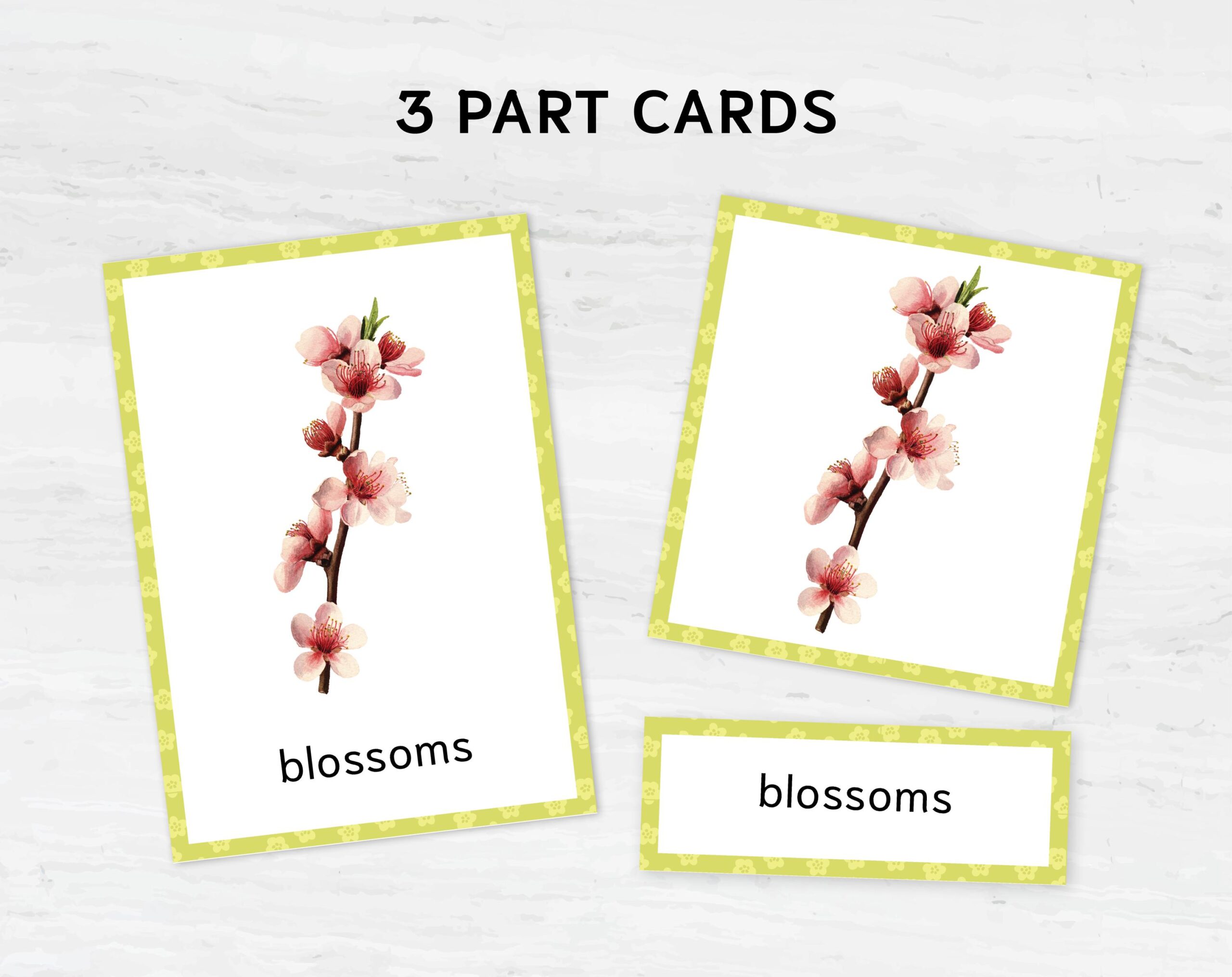 Printable Spring Flashcards: Montessori Vocabulary Materials for ...