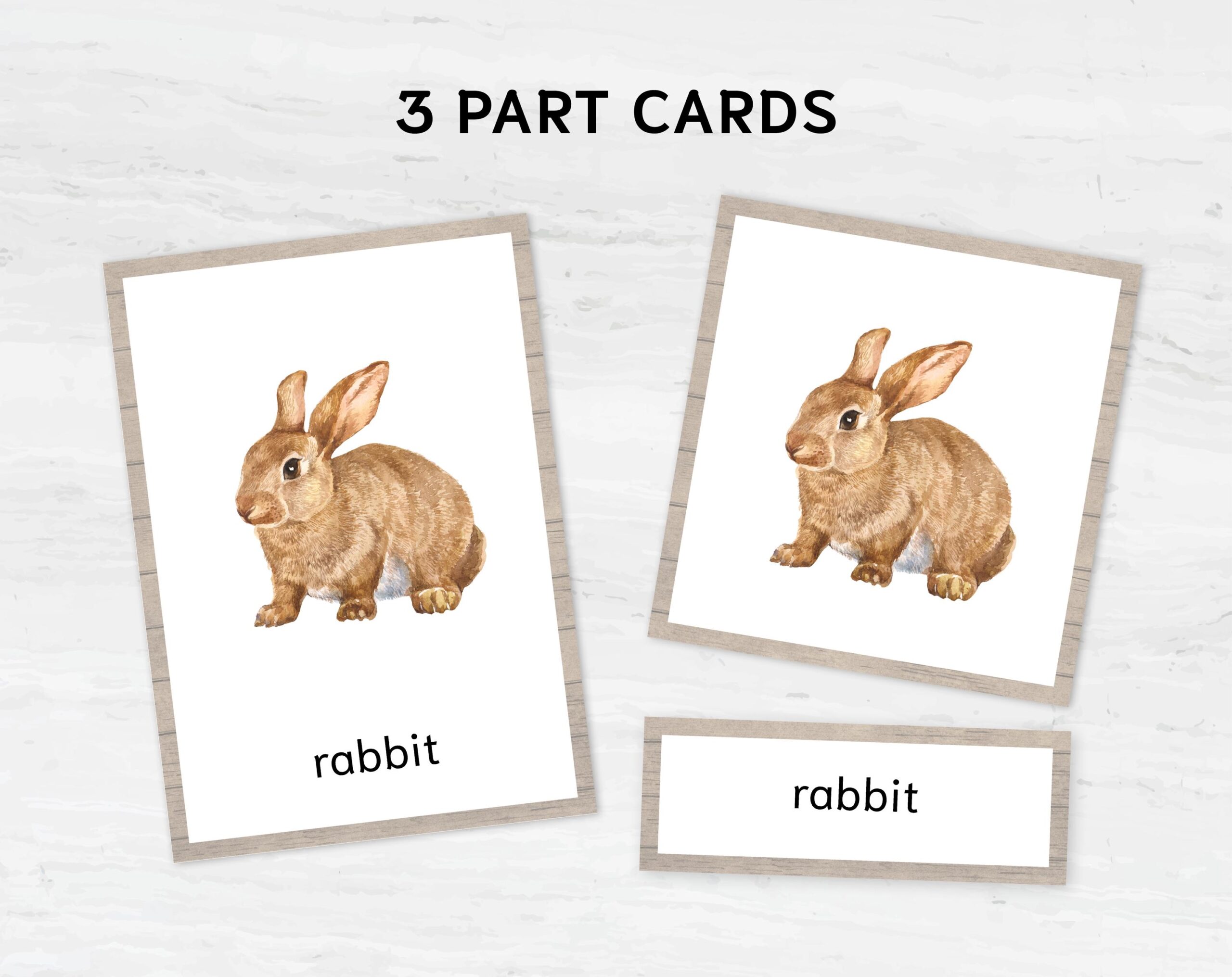 Watercolor Farm Animal Flashcards. Printable Montessori Material with ...
