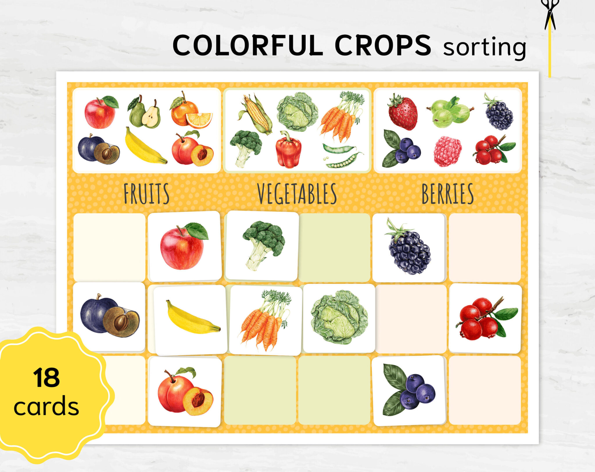 Montessori Color Sorting Matching Game: Toddler’s 12-Color Recognition ...
