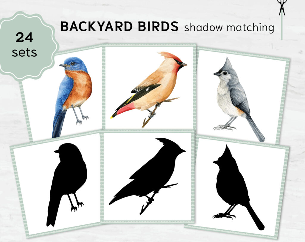 Bird shadow matching cards. Montessori Educational Materials. Printable ...