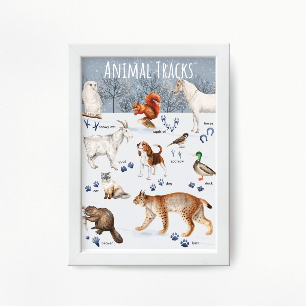 Frosty Fauna Footprints Poster: A Winter Animal Track Wall Art ...