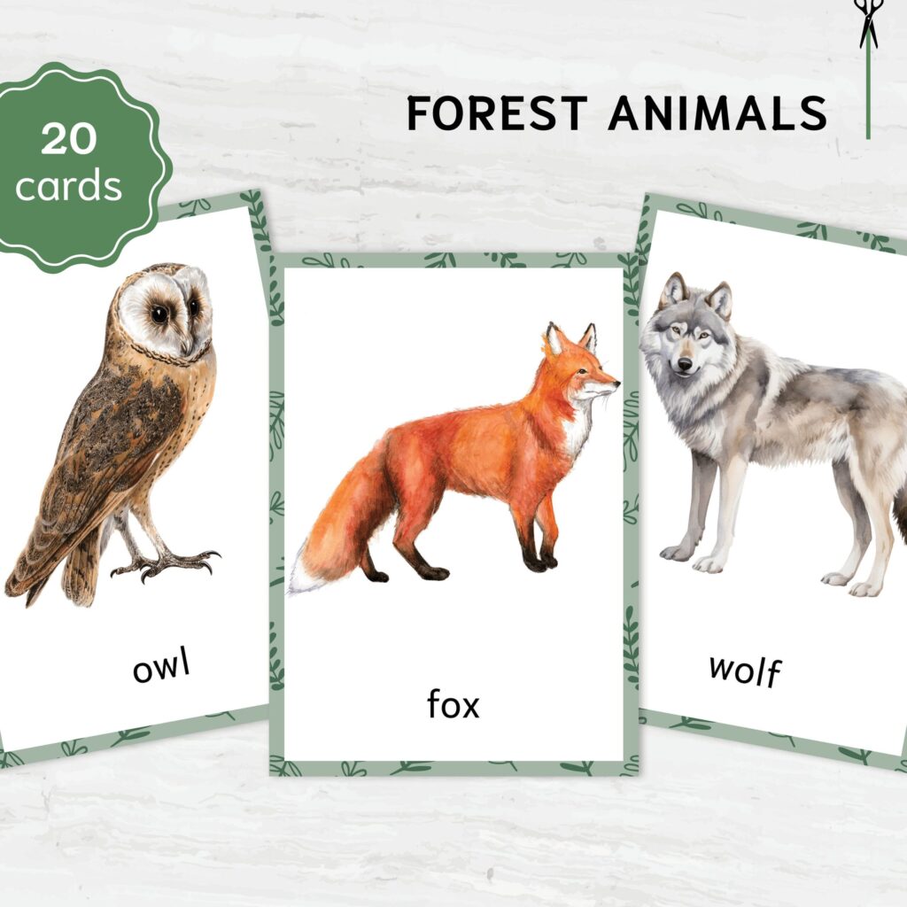 Montessori Forest Animal Flashcards | Printable Animal Nomenclature ...