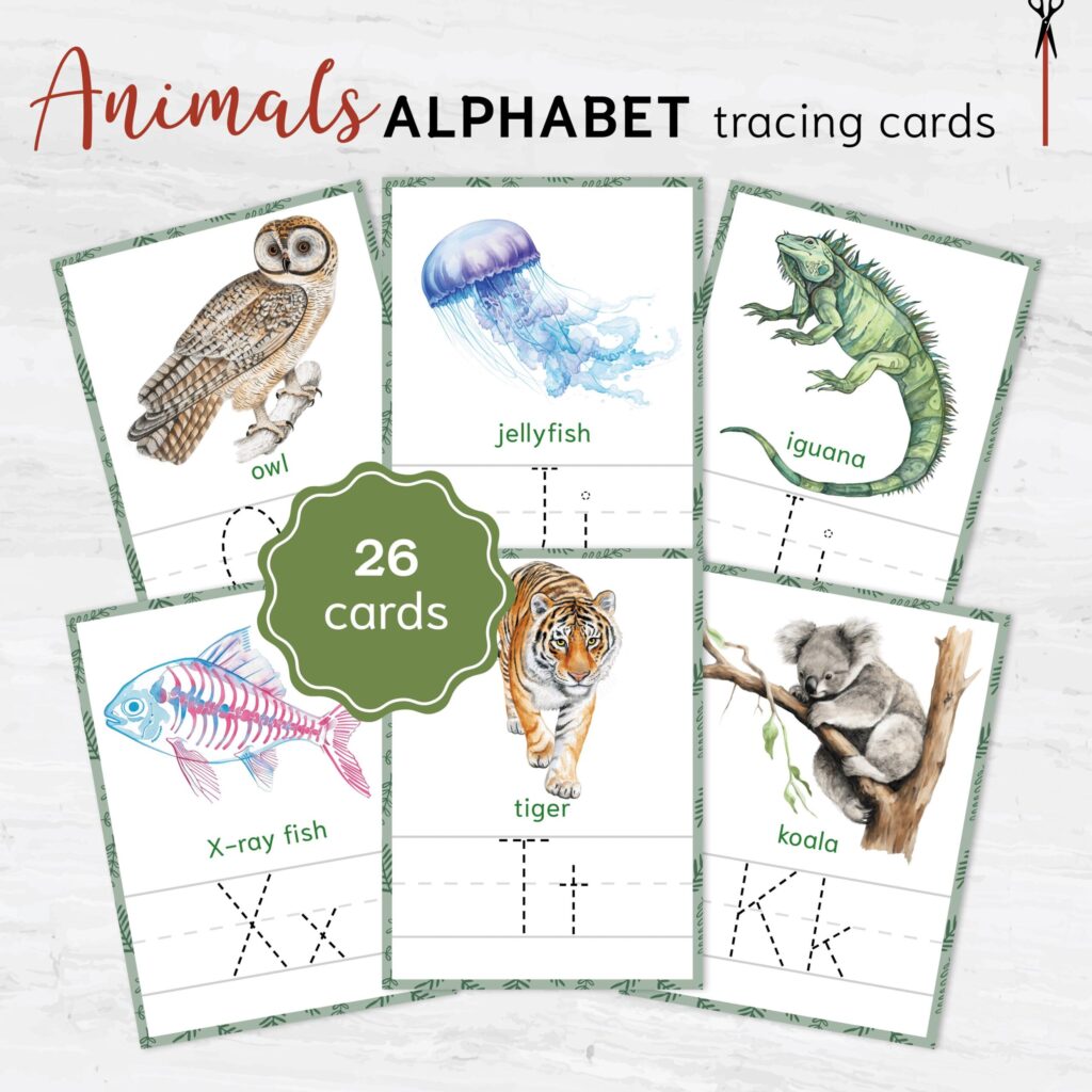 Animal Alphabet Tracing Cards – 26 Vibrant Illustrations for Learning ...