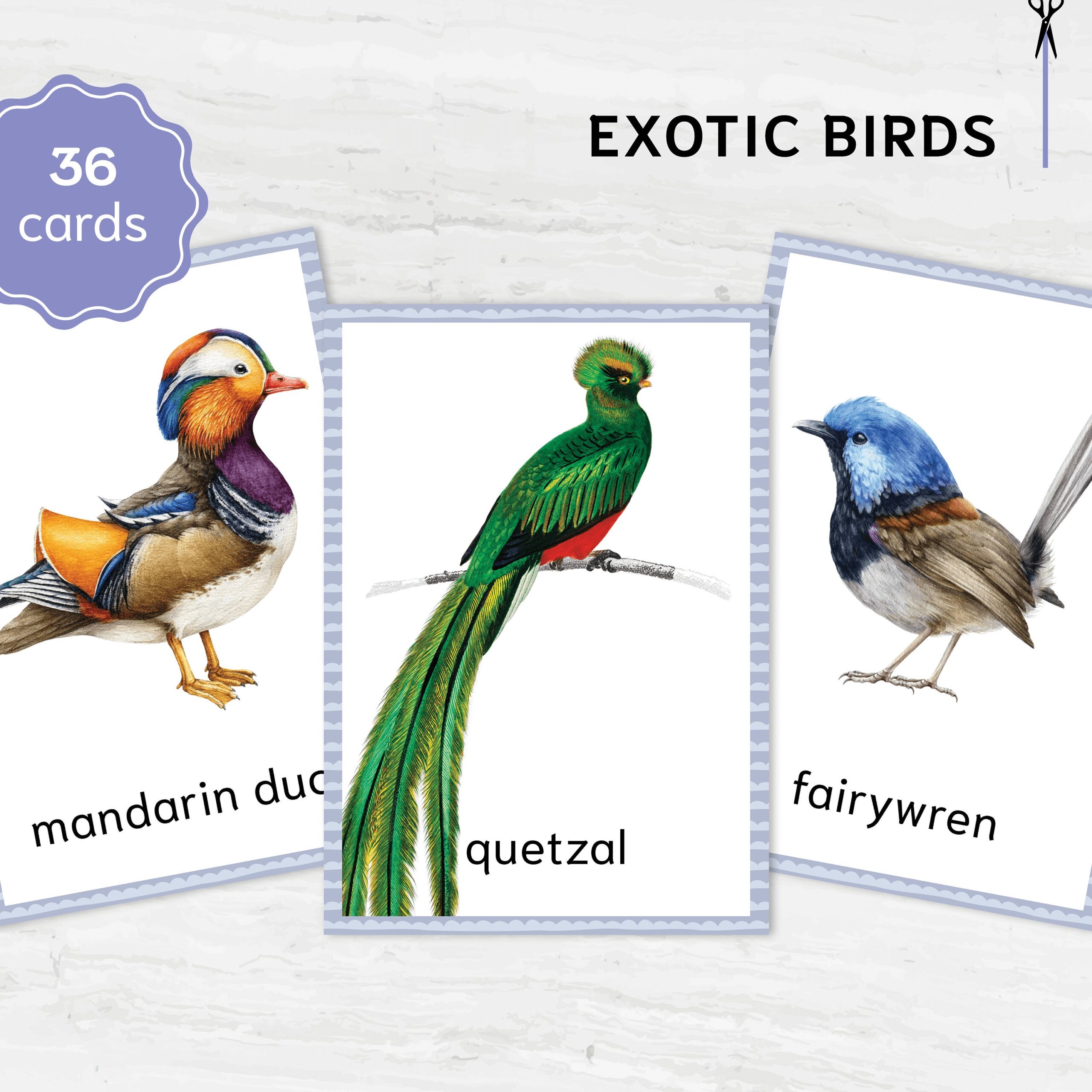 Watercolor Colorful birds printable flashcards. Montessori ...