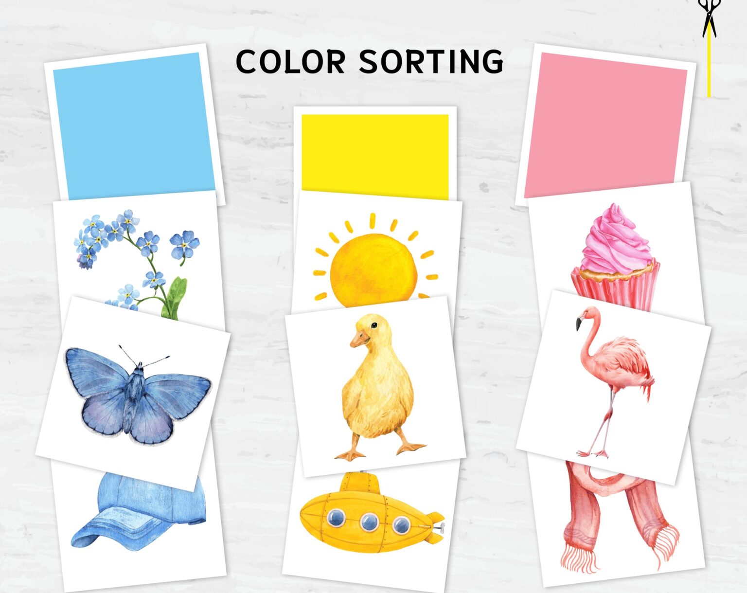 Montessori Color Sorting Matching Game: Toddler’s 12-Color Recognition ...