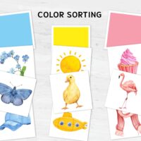 Montessori Color Sorting Matching Game: Toddler’s 12-Color Recognition ...