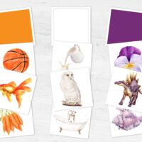 Montessori Color Sorting Matching Game: Toddler’s 12-Color Recognition ...