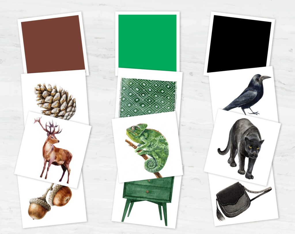 Montessori Color Sorting Matching Game: Toddler’s 12-Color Recognition ...