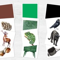 Montessori Color Sorting Matching Game: Toddler’s 12-Color Recognition ...