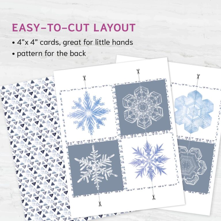 Montessori Color Sorting Matching Game: Toddler’s 12-Color Recognition ...