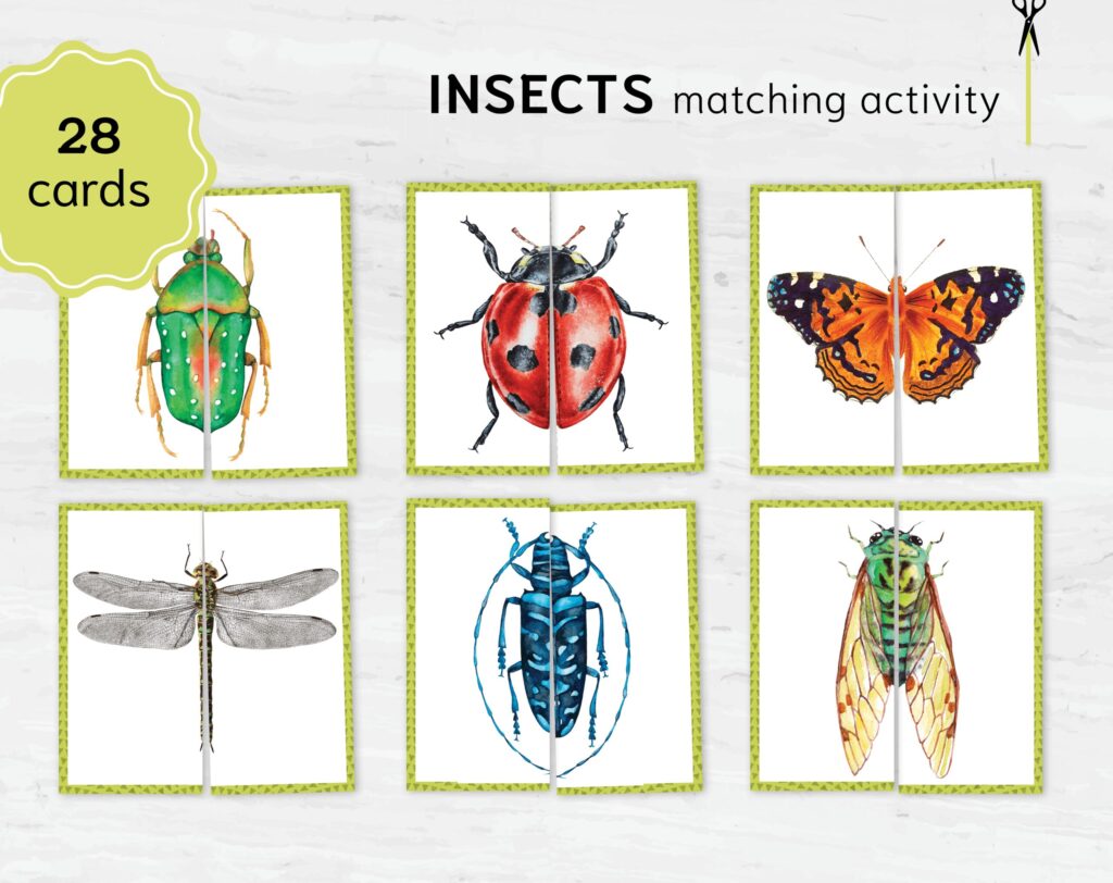 INSECTS Matching Puzzle. Bugs Symmetry Adventure! - Montessori Print Store