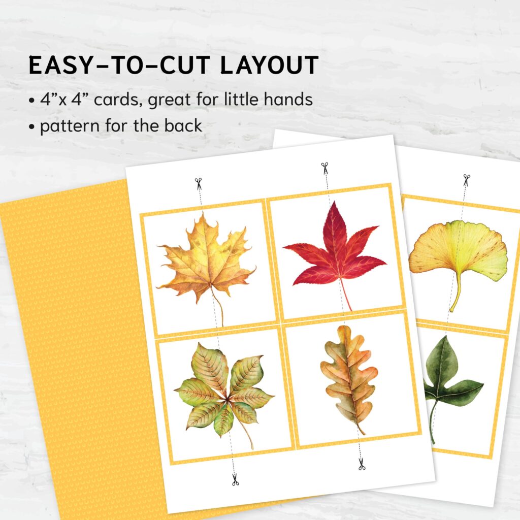 Autumn puzzle: Fall Leaves Matching Game for Toddlers. - Montessori ...