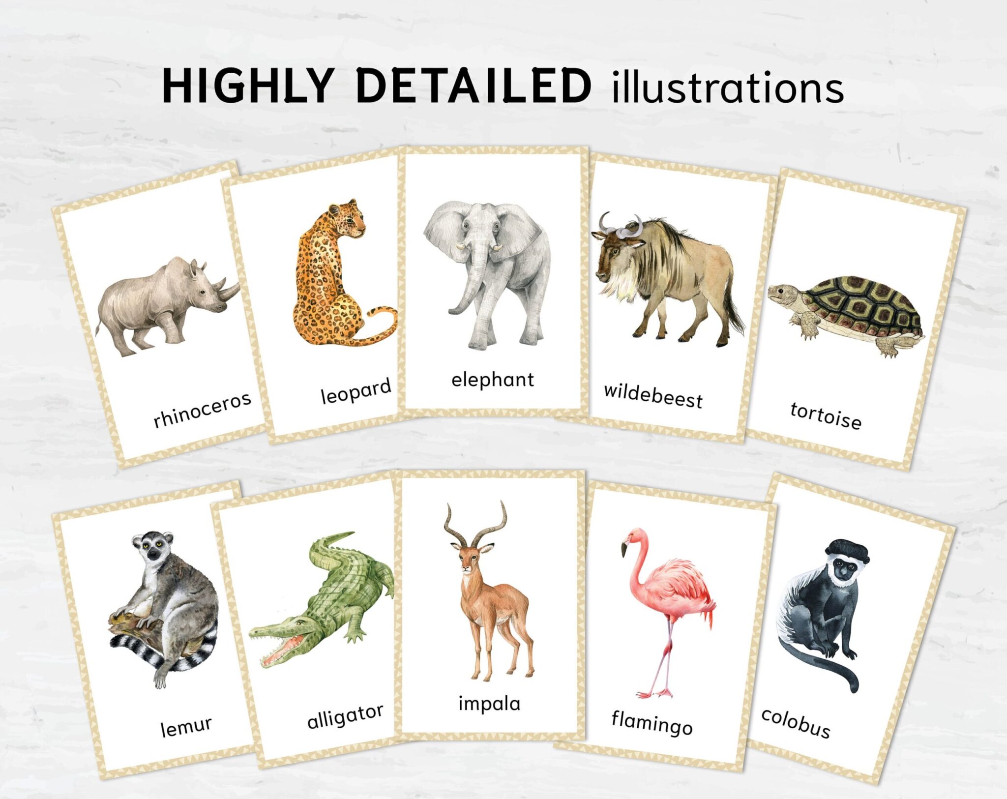 African Animal Flashcards Bundle – Nomenclature Learning Set ...