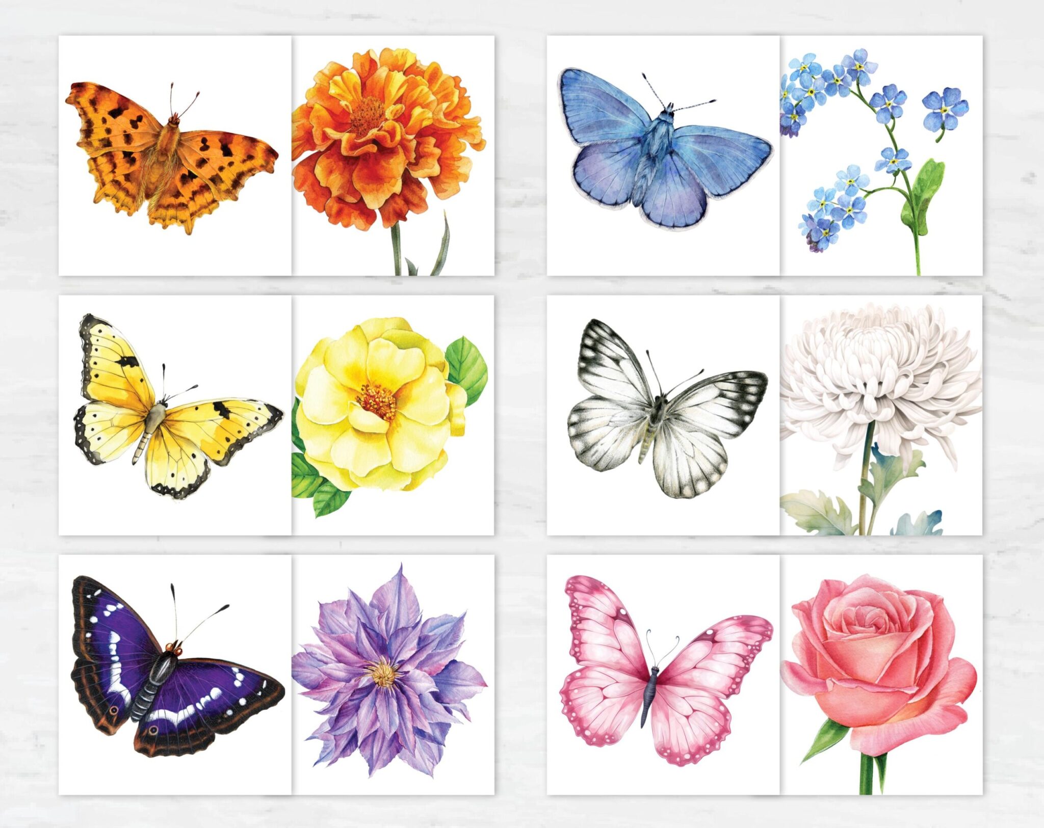 Color Matching Game: Butterflies & Flowers Printable Color Sorting ...