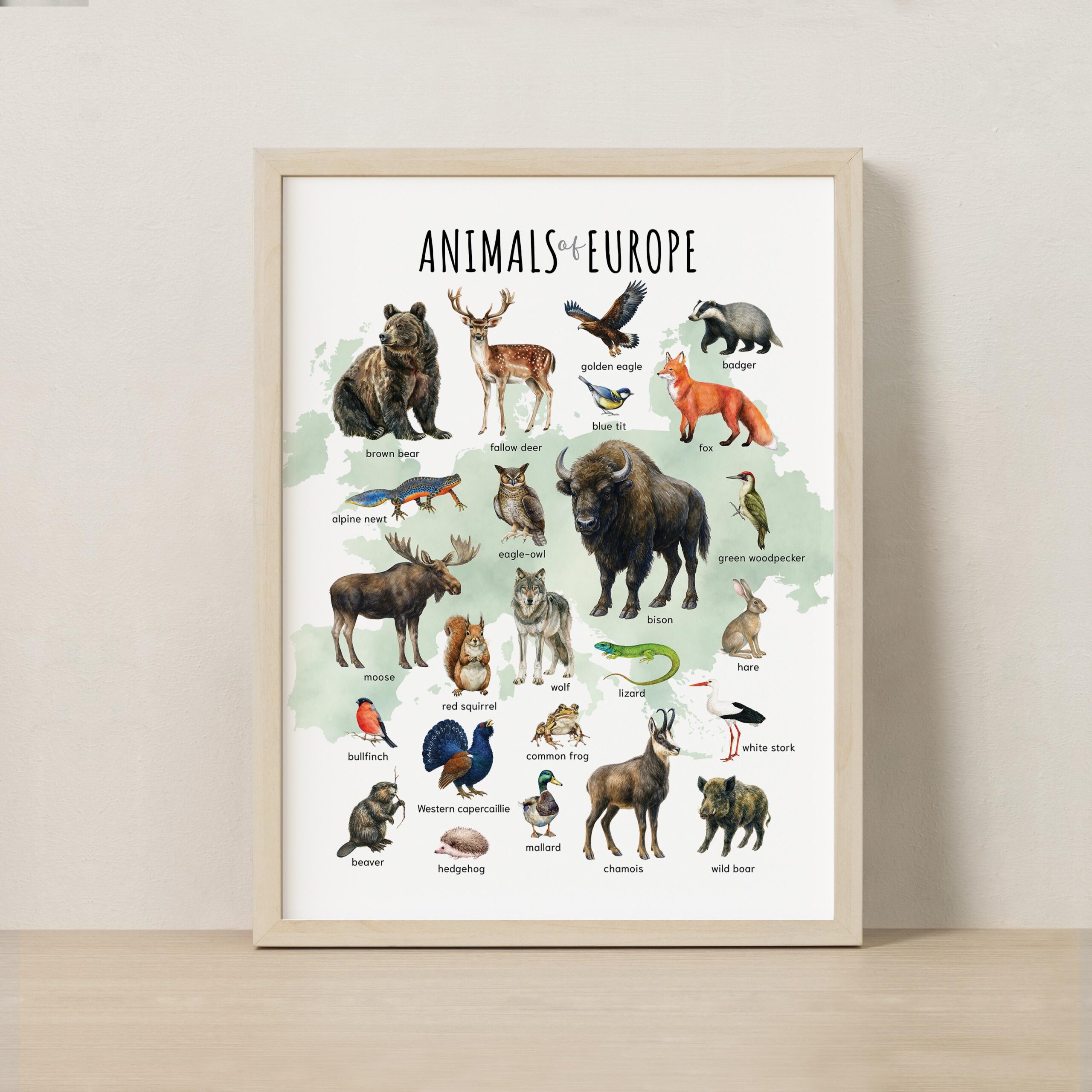Animals of Europe Educational Poster – Watercolor Wildlife Map ...
