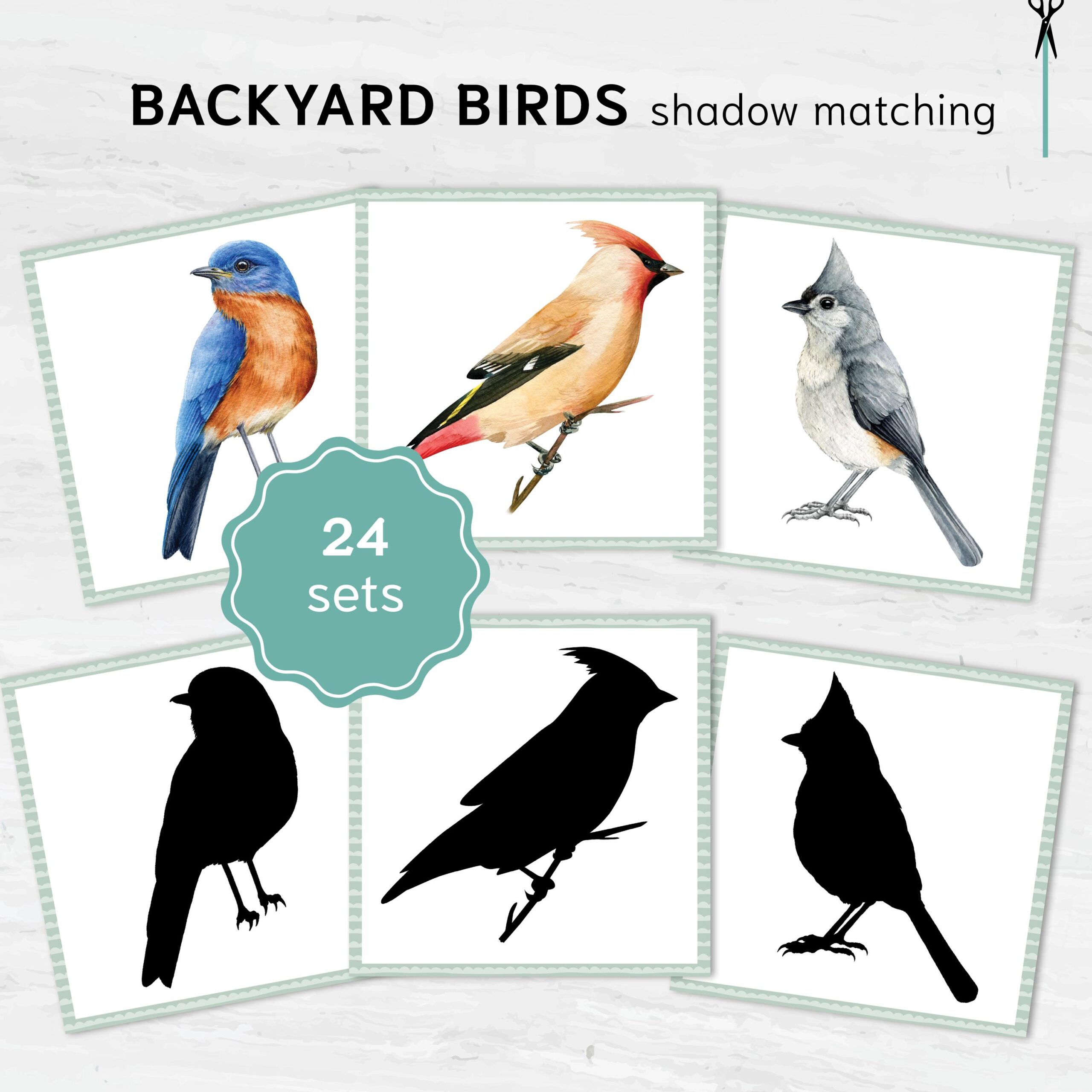 Watercolor Bird Shadow Matching Cards: Montessori Printable (PDF ...