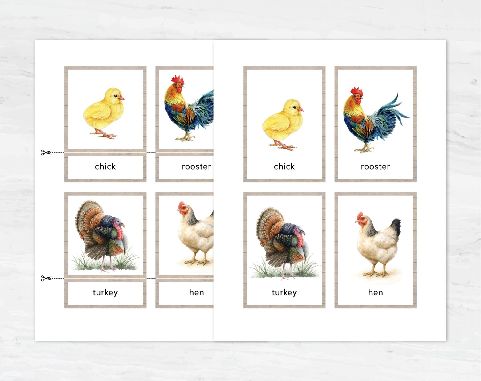 Watercolor Farm Animal Flashcards. Printable Montessori Material with ...