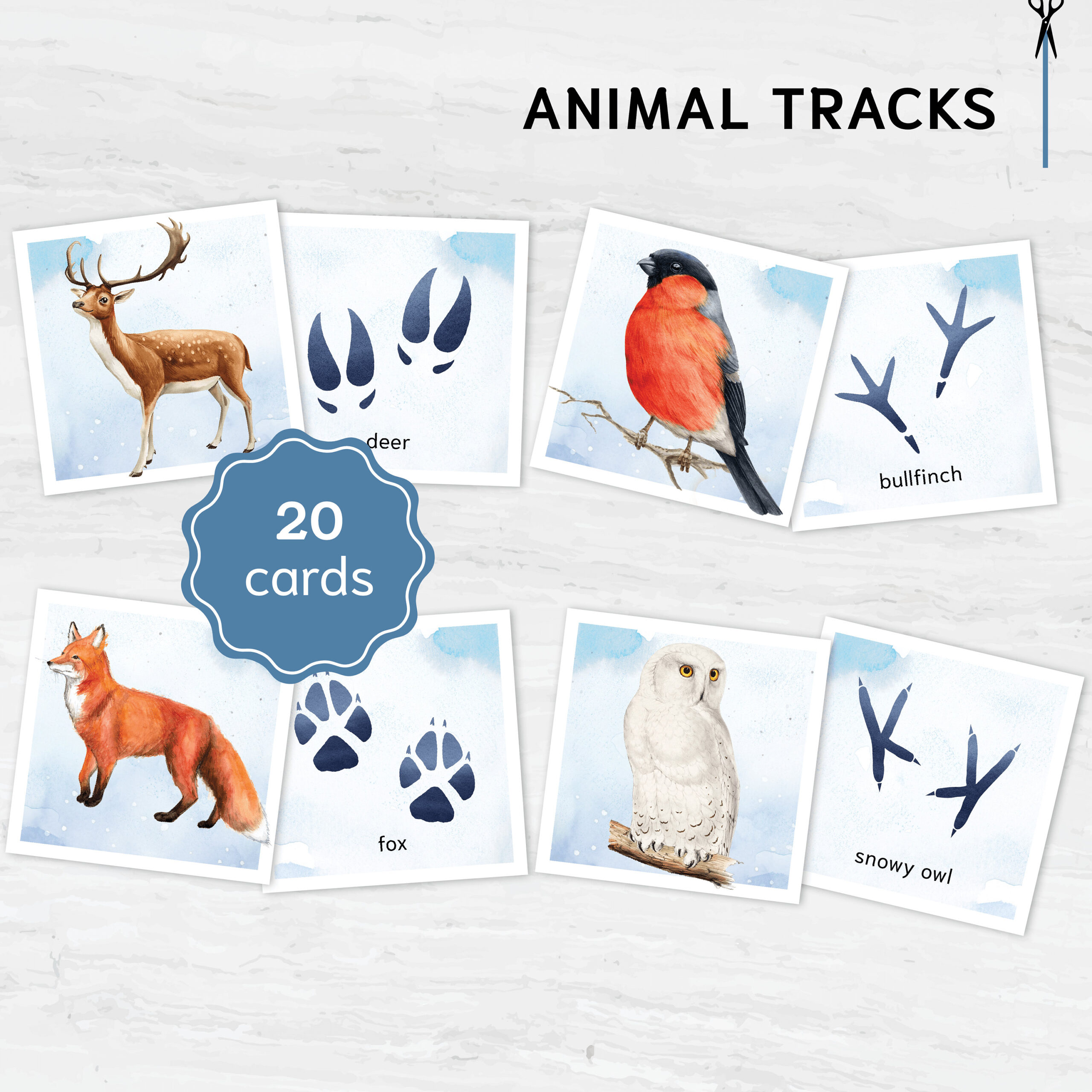 Winter Animal Tracks Matching Game: Montessori Nature Cards with a ...