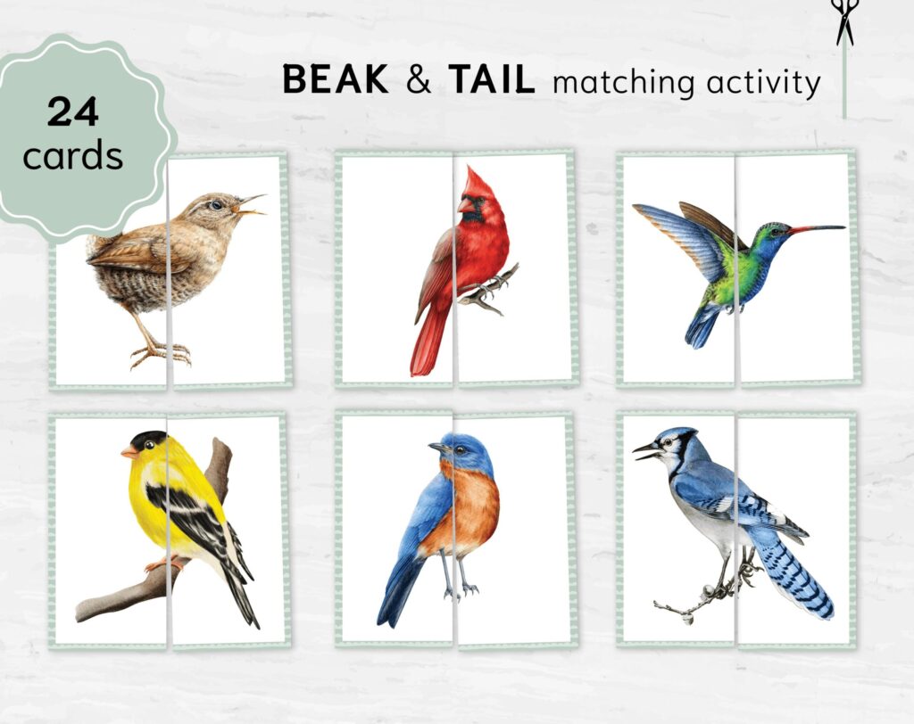 Bird Halves Matching Game: Montessori Toddler Activity (Digital ...